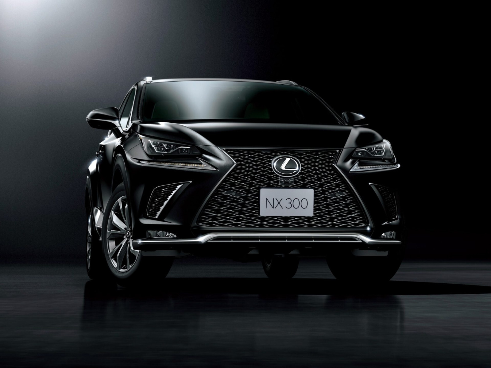 For Lexus Front Grille Emblem Logo NX300H RX350 RX450H | eBay