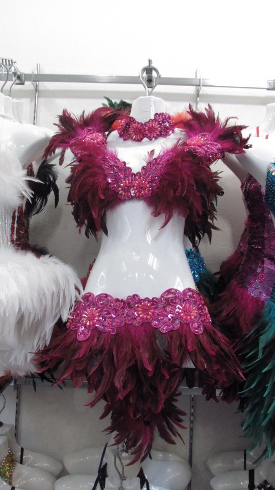 EVITA FTR Feather Dance Drag Bra Skirt Bra Belt Samba Dress Costume Set ...