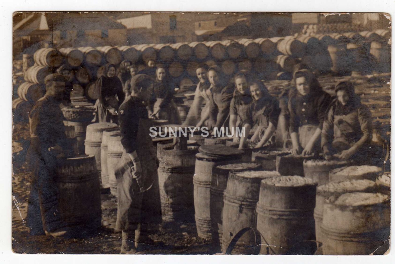 SUFFOLK, LOWESTOFT, FISHING INDUSTRY, SCOTCH GIRLS GUTTING HERRING, RP ...