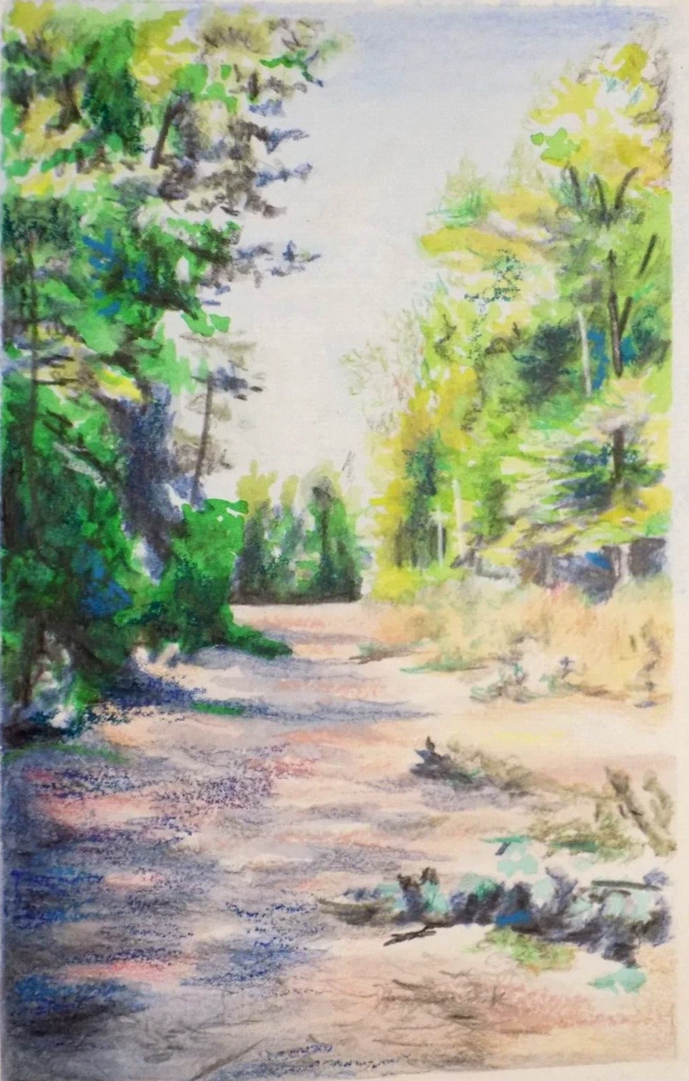 Forest Path Drawing