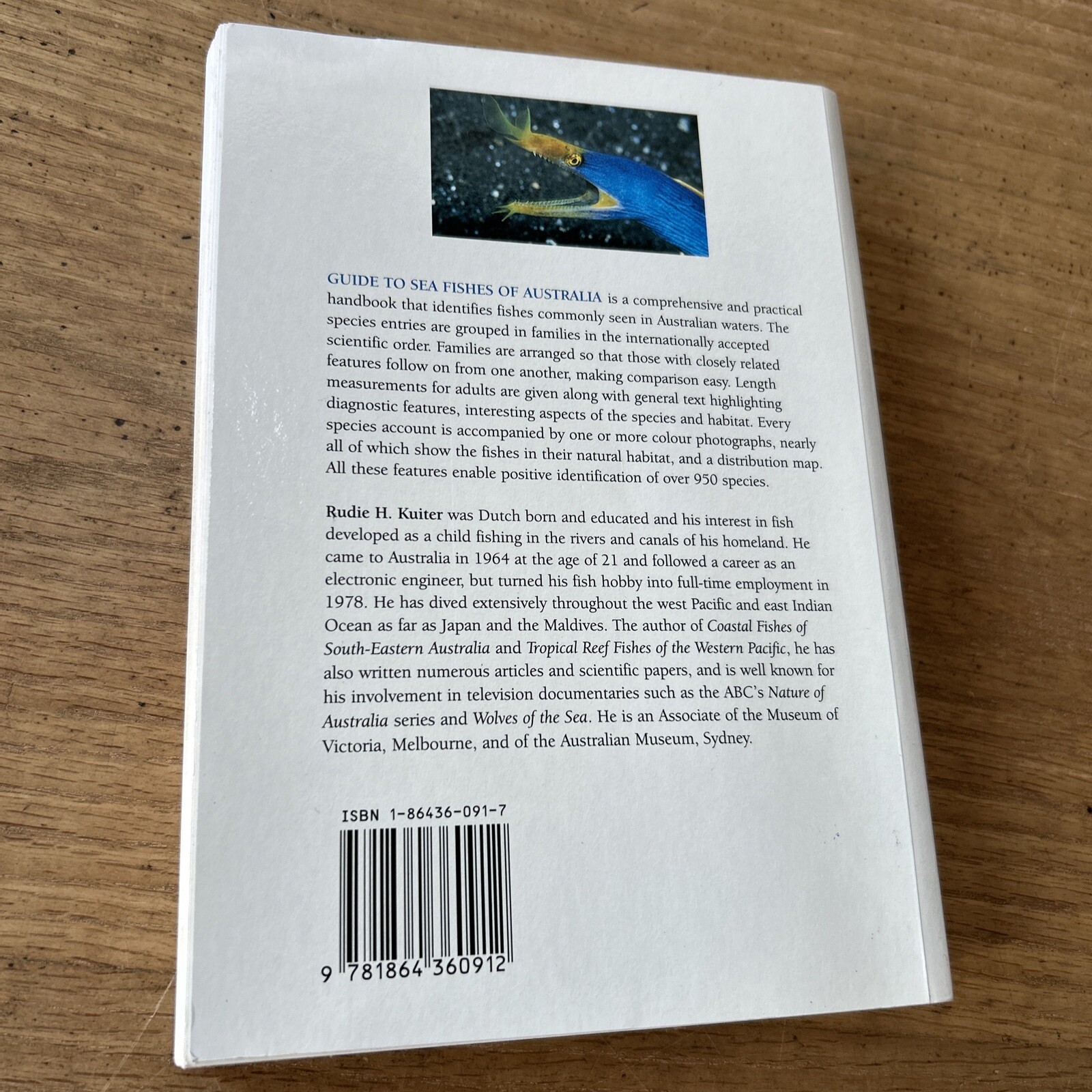 Guide to Sea Fishes of Australia - Rudie H. Kuiter (Paperback) CL4 | eBay