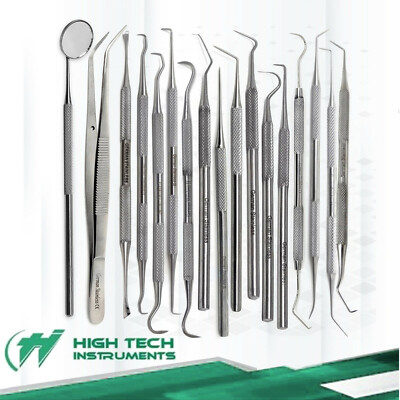 17pc STAINLESS STEEL Dental PICK SET, Tools Pick Scaler Teeth Cleaning ...