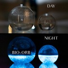 Bioluminescent Bio-Orb (Large) with Bio-Base (blue-green) | eBay