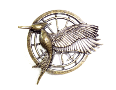Mockingjay Pin On Fire Drawing