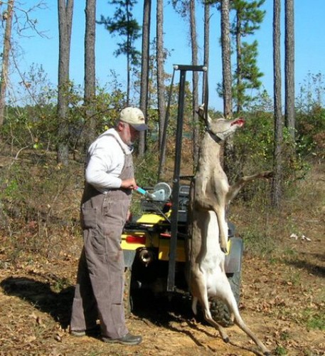 LA GUARD DOG TILT-N-TOTE GAME LOADER | eBay