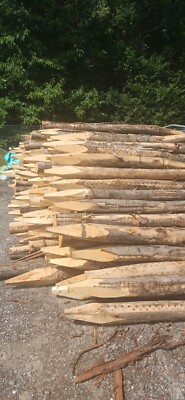8ft Chestnut Stakes | eBay UK