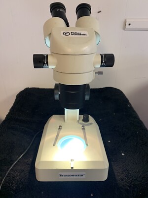 Microscopes - Stereomaster Microscope