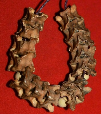 Antique African Snake Bone Vertebrae African Tribal Protection Beads ...