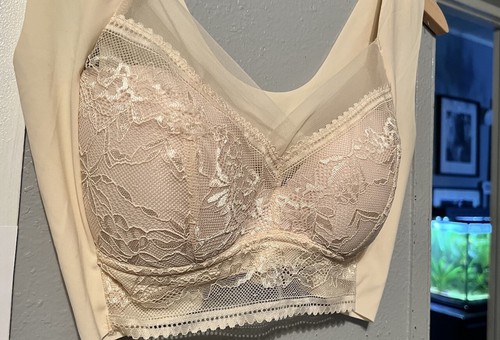 Women’s Solid Floral Lace Contrast Sheer Mesh Bra | eBay