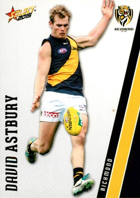 2015 RICHMOND TIGERS AFL Card DAVID ASTBURY | eBay