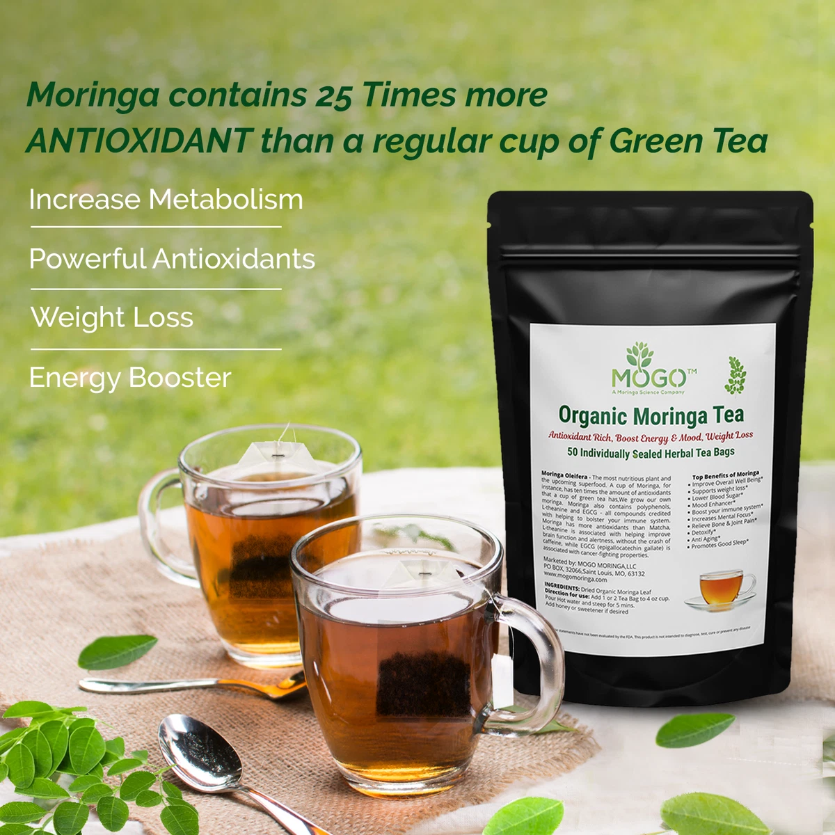 Moringa Tea Benefits