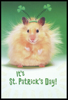 Greeting Card - Hamster - St. Patrick's Day - 0048 | eBay