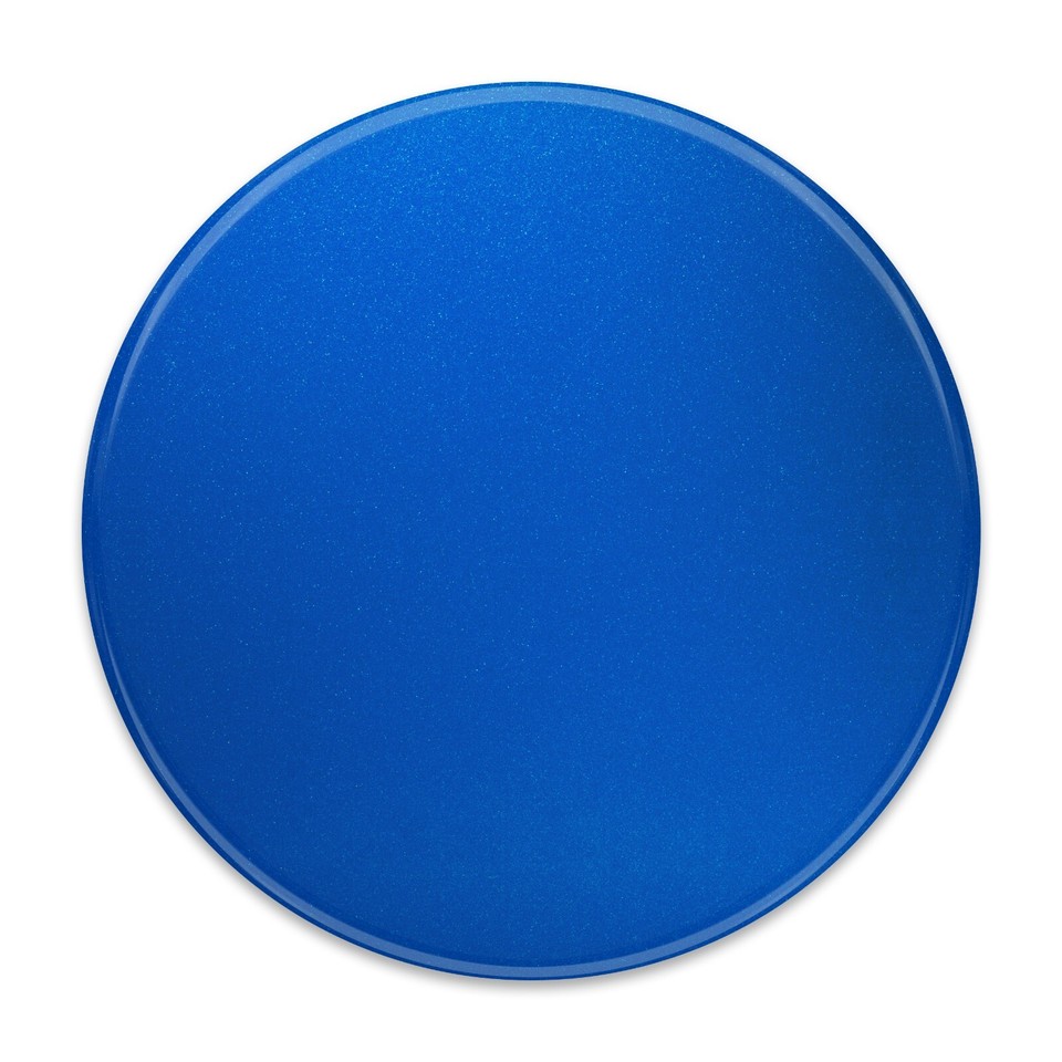 2021-2024 Ford Raptor Hood Cowl Letter Inserts - Official Licensed ...