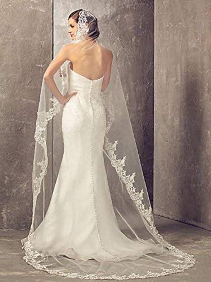 Wedding Bridal Veils Long Veil with Lace and Metal Comb At The ...