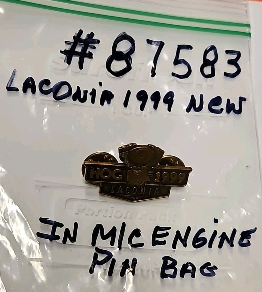 HARLEY DAVIDSON HOG 1999 LACONIA MOTORCYCLE ENGINE PIN SEE PICS FOR ...