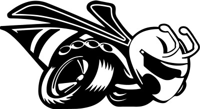 Scat Pack Angry Bee Vinyl Transfer Decal | eBay