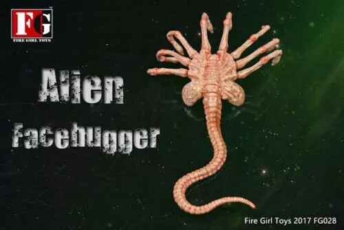 Facehugger 1/6 Alien Contract Larvae AVP Action Figure Figurine Model ...