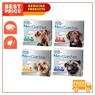 NexGard All Sizes for Dogs Monthly Flea and Tick Prevention 6 Chews AU ...