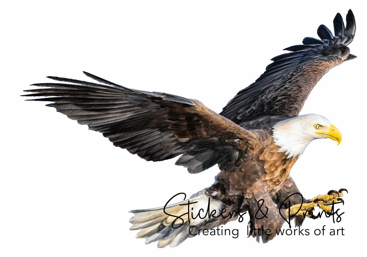 Cartoon Eagle Attacking