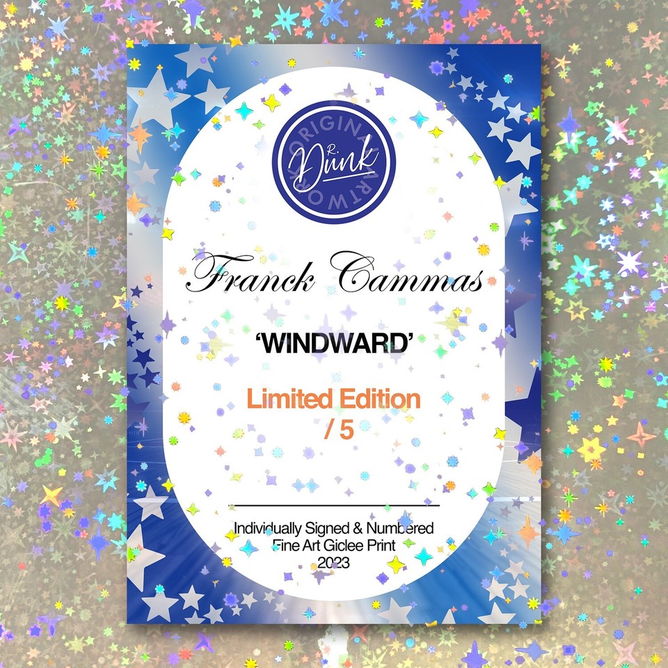 Franck Cammas Holographic Windward Sketch Card Limited 1/5 Dr. Dunk ...