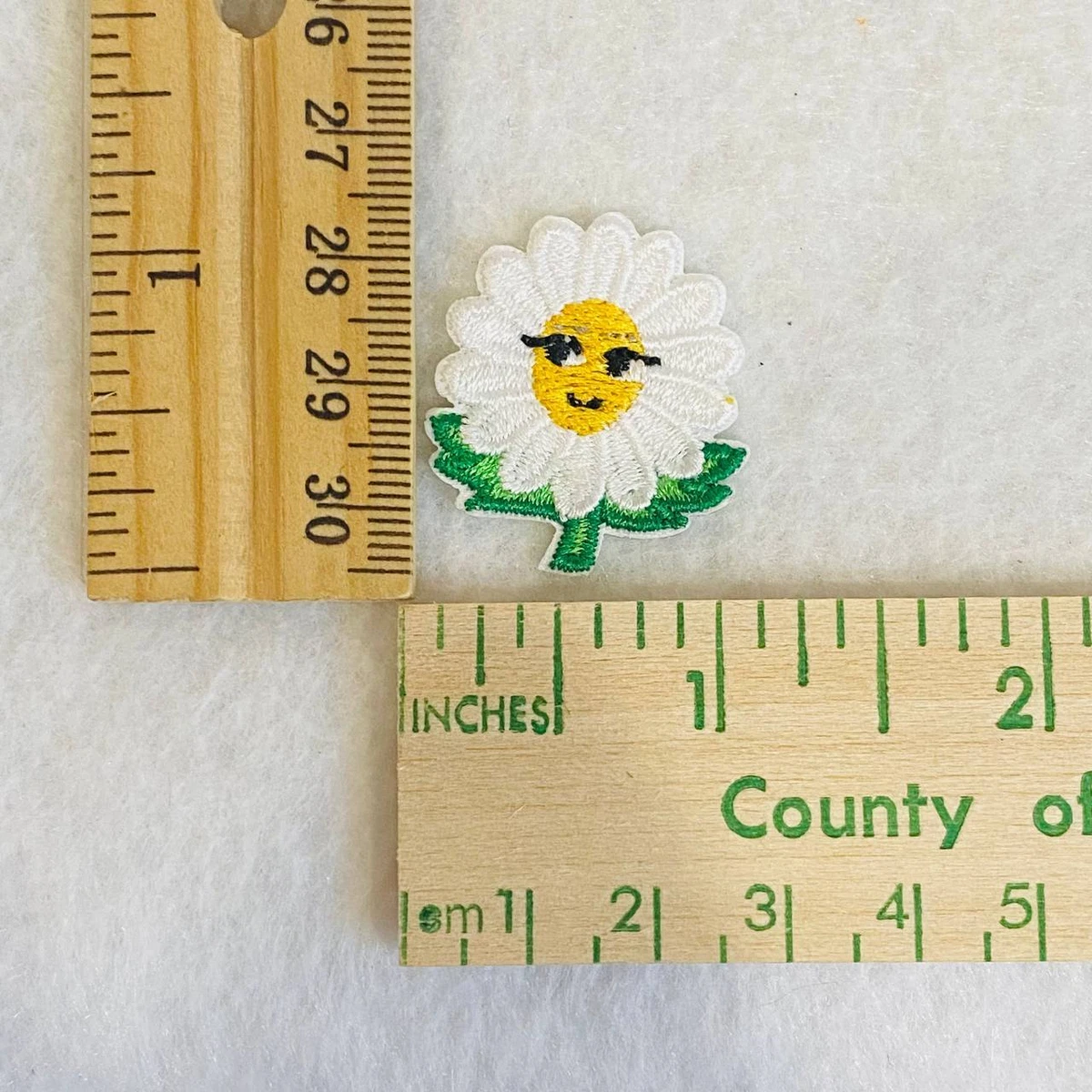 Daisy Flower Garden Journey | Best Flower Site