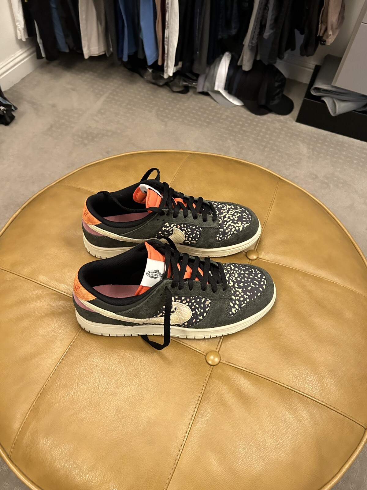 Nike Dunk Low Retro SE 2 Gone Fishing Rainbow Trout S… - Gem