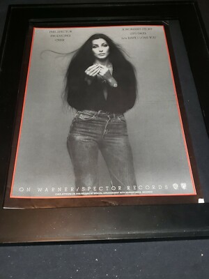 Cher A Woman's Story Rare Original Promo Poster Ad Framed! | eBay