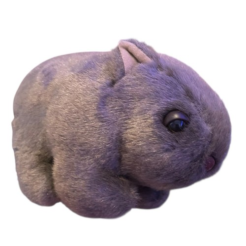 CA Australia Corroboree Baby Wombat Stuffed Animal Plush Collector Toy ...