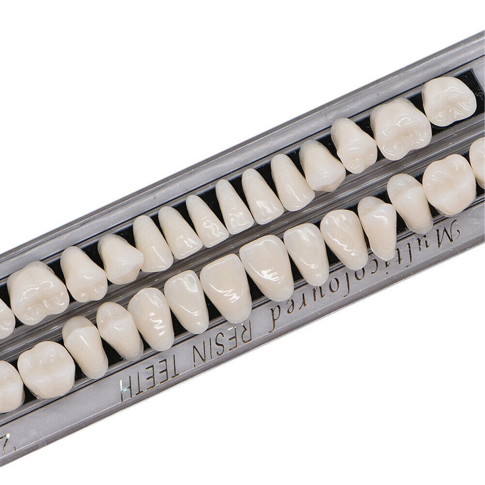 5 Sets Dental Acrylic Resin Denture Shade A2 A3 Full Set False Teeth ...