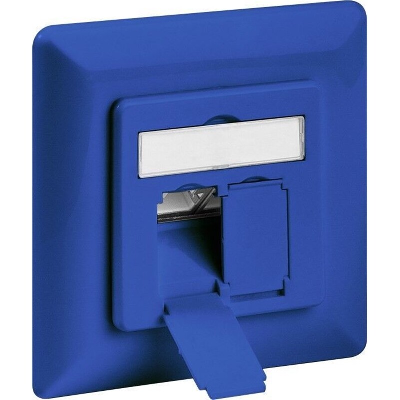 Netzwerkdose Cat6 250MHz RJ45 ( 8P8C ) Unterputz-Dose blau | eBay.de