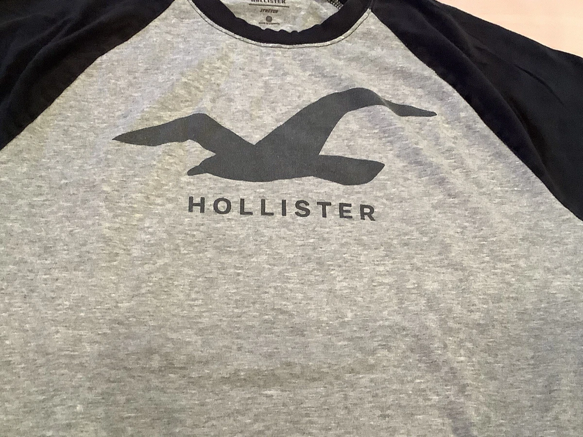 Hollister Logo Bird Black