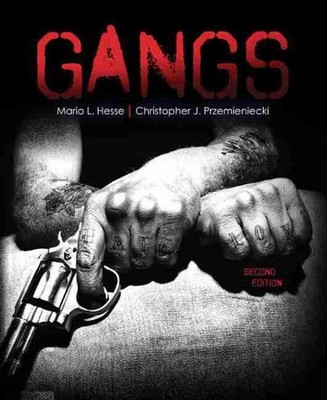 Gangs by Mario L. Hesse (English) Paperback Book 9781465286536 | eBay ...
