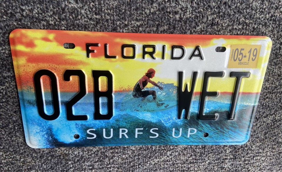 Endless Summer Surfer License Plate Beautiful Alternative | eBay