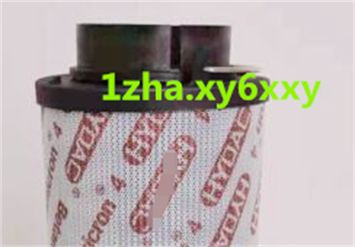 1PCS NEW for 2600 R 005 BN4HC Filter Element 1263064 #1z | eBay