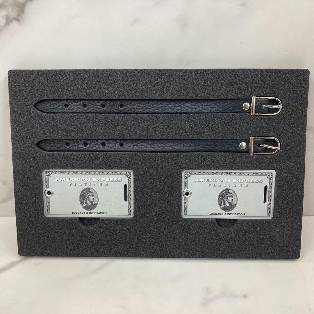 American Express Platinum Card Holders Set of 2 Limited Novelty Luggage ...