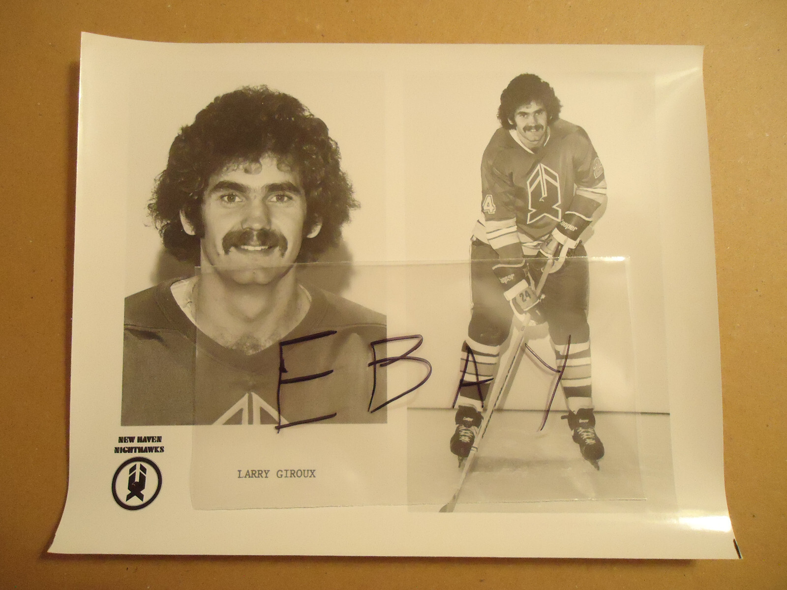 Larry Giroux 1975-76 New Haven Nighthawks AHL hockey photo | eBay