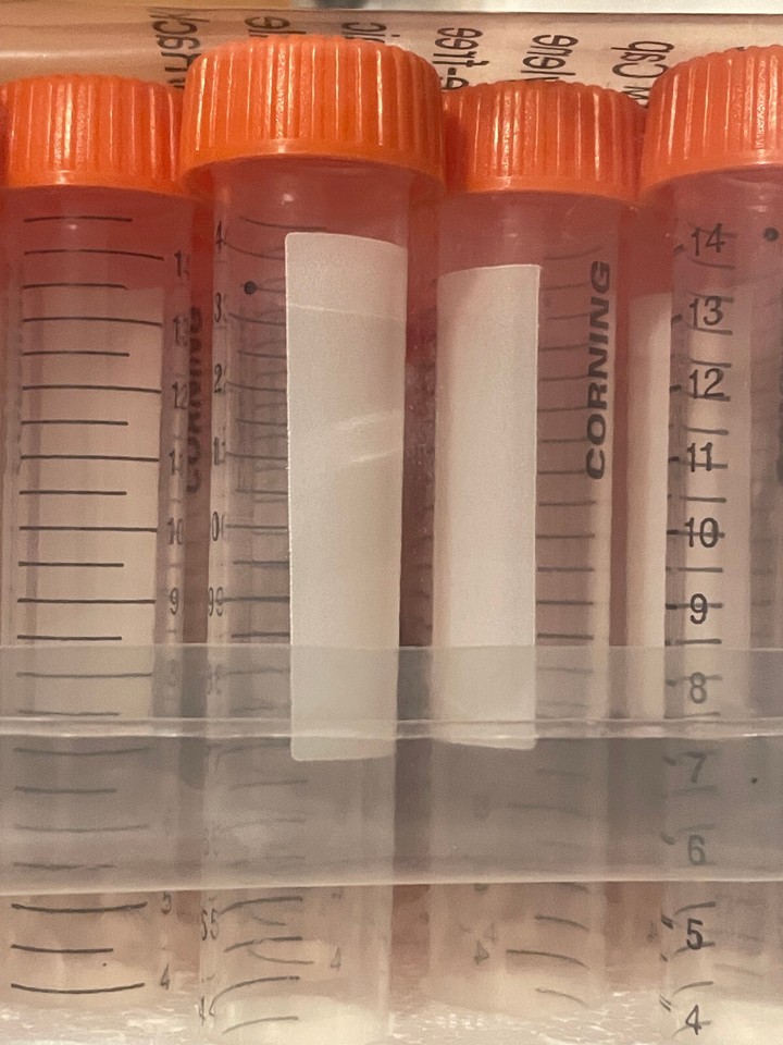 TUBES - Corning 430790 15mL Polypropylene CentriStar Cap Sterile - 500 ...