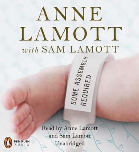 Some Assembly Required : A Journal of My Son's First Son by Sam Lamott ...