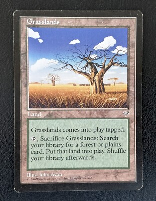 1 x Grasslands - Mirage - MTG Magic the Gathering - Land | eBay