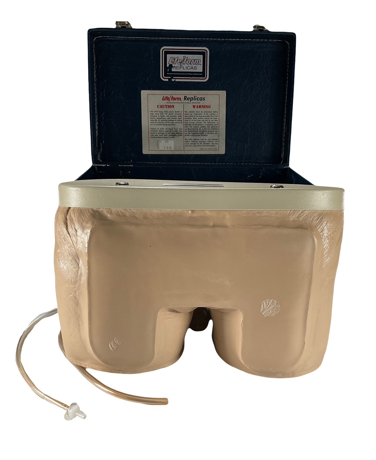 Nasco Life Form Male Catheter Model Catheterization Simulator W/Trunk ...