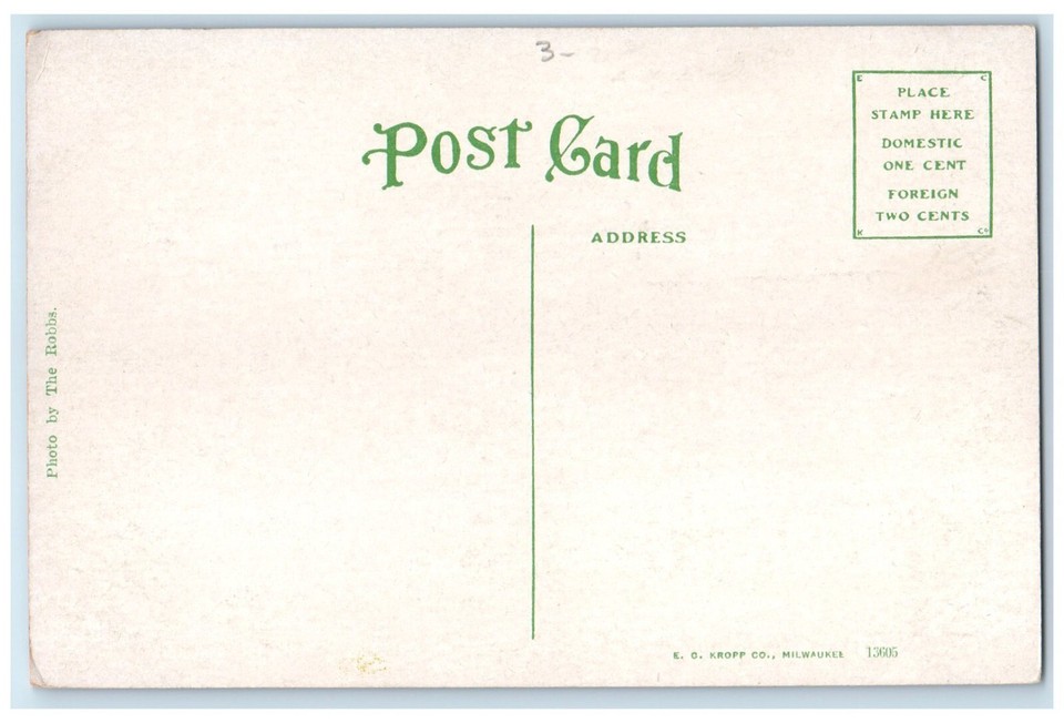 c1910 Carnegie Library Exterior Building Escanaba Michigan MI Vintage ...