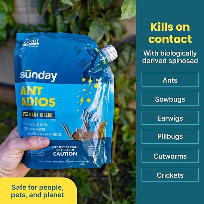 Sunday Ant Adios - Insect & Ant Killer Outdoor Uses Spinosad 2lb ...