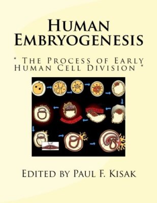 Human Embryogenesis: " The Process of Early Human Cell Division ". Kisak