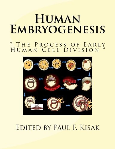 Human Embryogenesis: " The Process of Early Human Cell Division ". Kisak