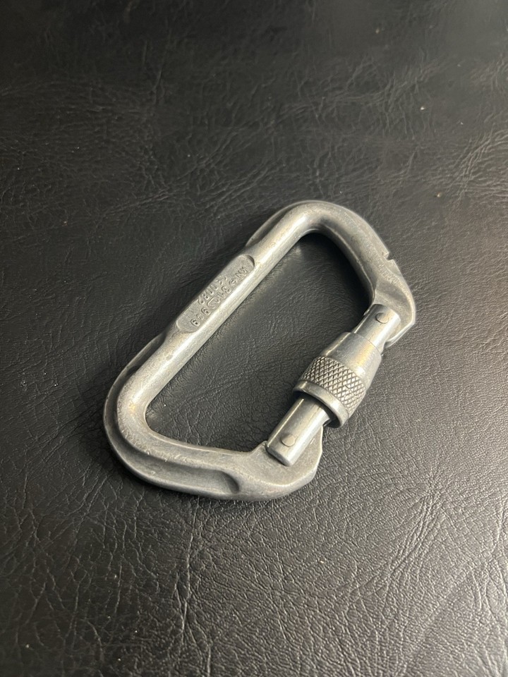 Omega USA D Carabiner Screw-Lock Aluminum kN 31/9/9 CE0082 – Climbing ...