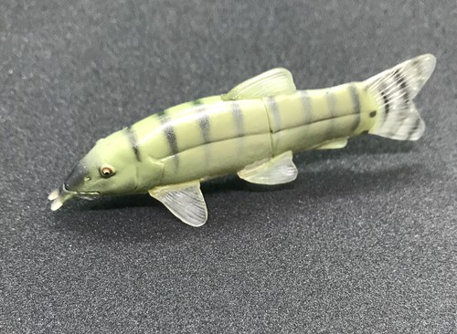 KAIYODO FURUTA CHOCO EGG - KISSING LOACH - JAPANESE FIGURE | eBay UK