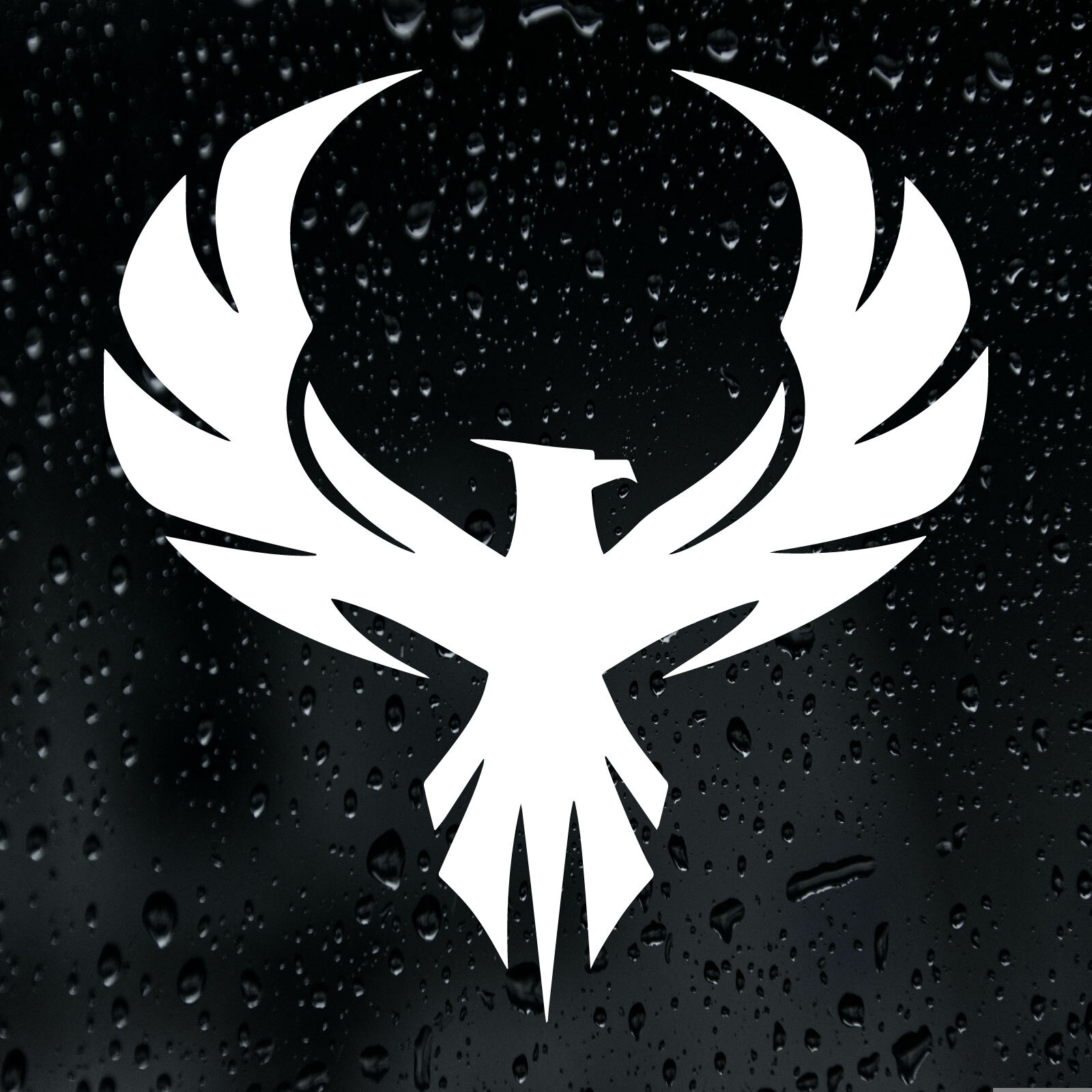 PHOENIX BIRD RISING Decal Vinyl Sticker for Car Bumper Window Door ...
