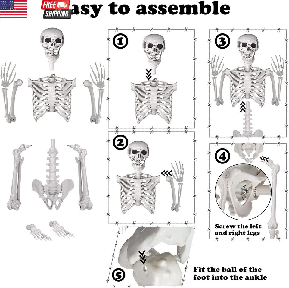 5.4Ft Halloween Posable Skeleton Realistic Life Size Human Skeleton ...