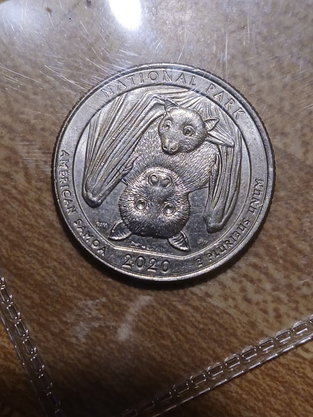 2020 Quarter BAT COIN BLIND BAT ON 1 EYE OF SMALLER BAT ON FRONT COPPER ...