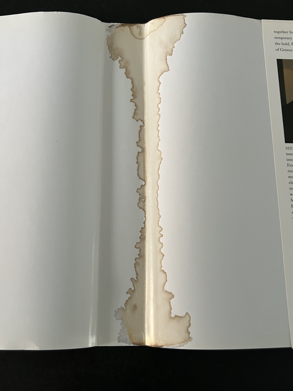 How to Roast a Lamb Cookbook New Greek Classic Cooking Psilakis ...